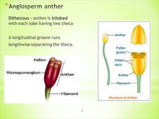 Embryology of Angiosperms | PDF