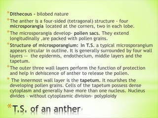 Embryology of Angiosperms | PDF