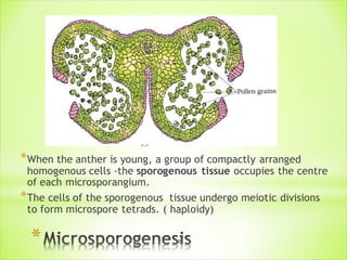 Embryology of Angiosperms | PDF