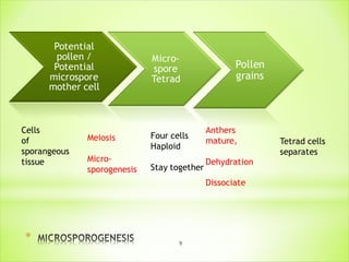 Embryology of Angiosperms | PDF