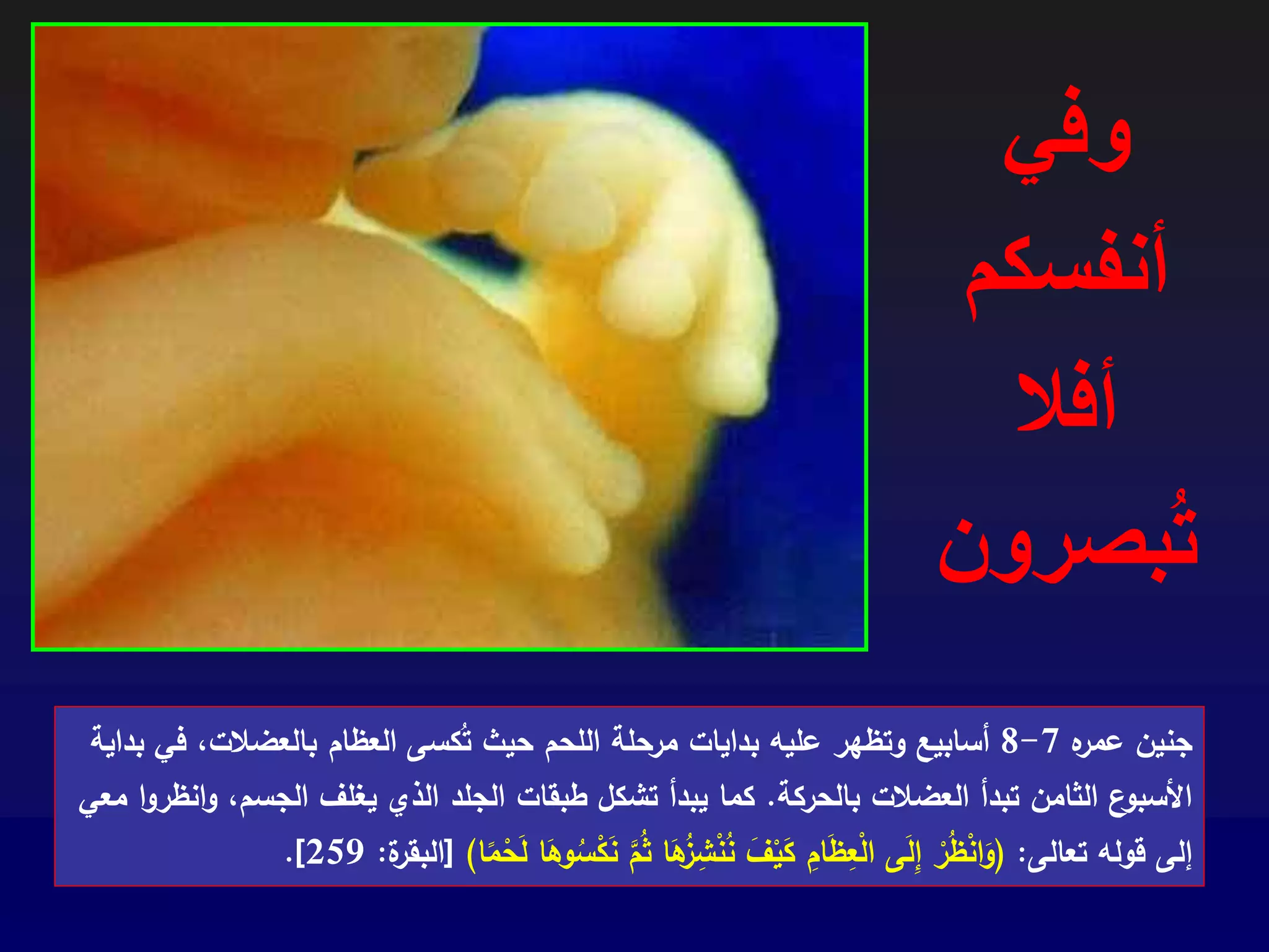 Embryo Creation | PPS