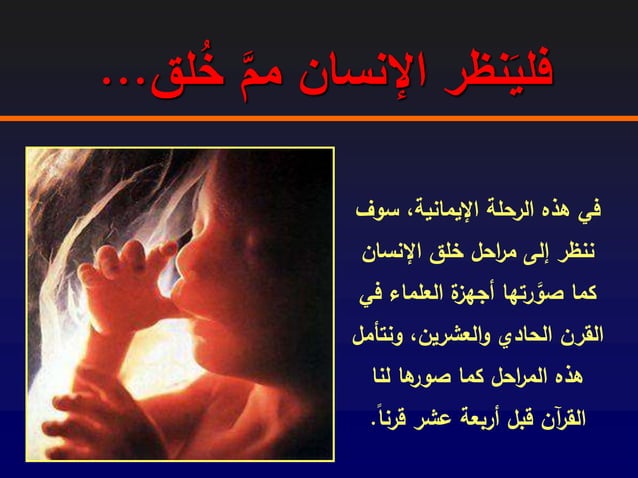 Embryo Creation | PPT