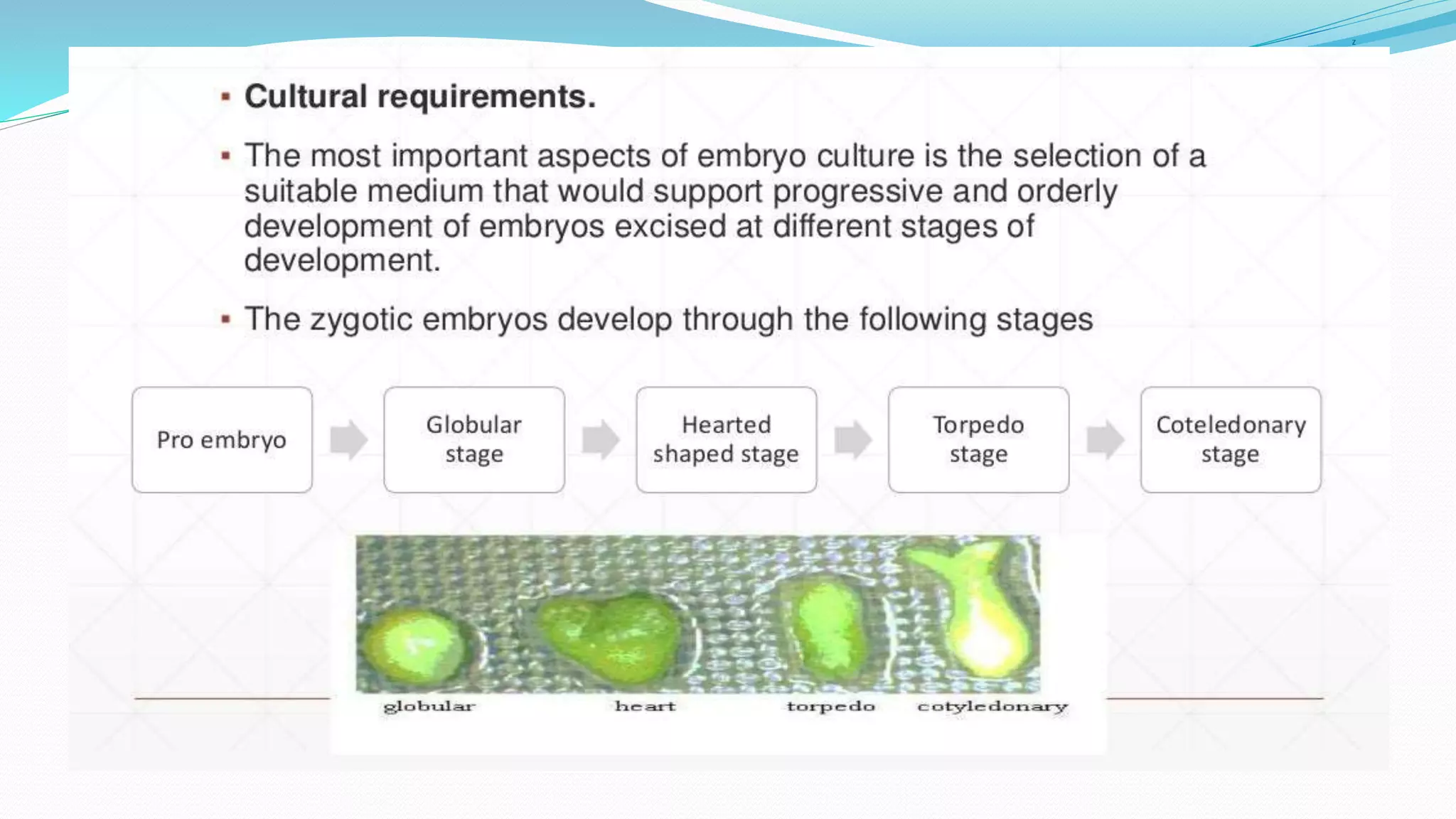 Embryo culture.pptx