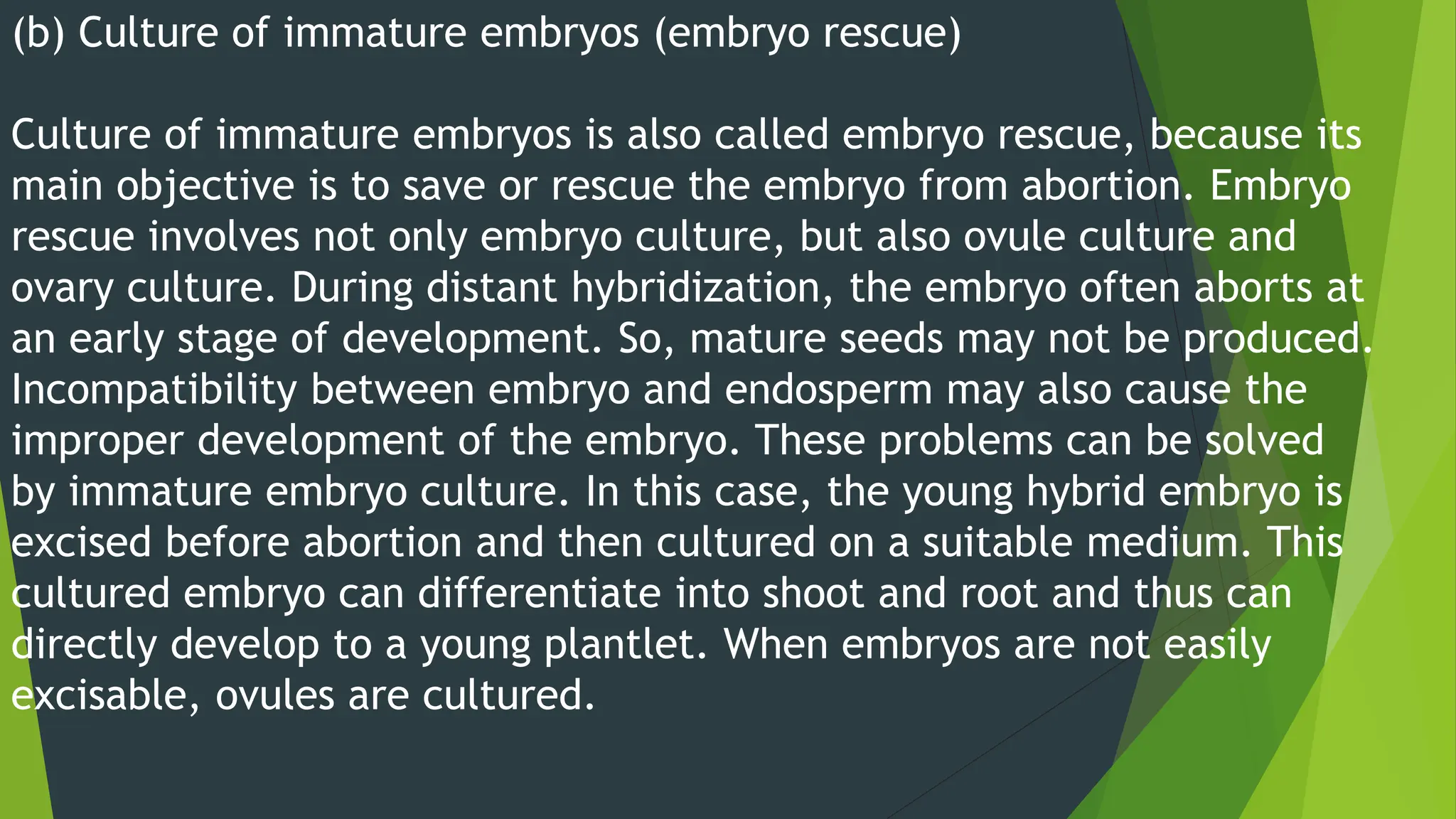 EMBRYO CULTURE.pptx