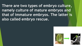 EMBRYO CULTURE.pptx