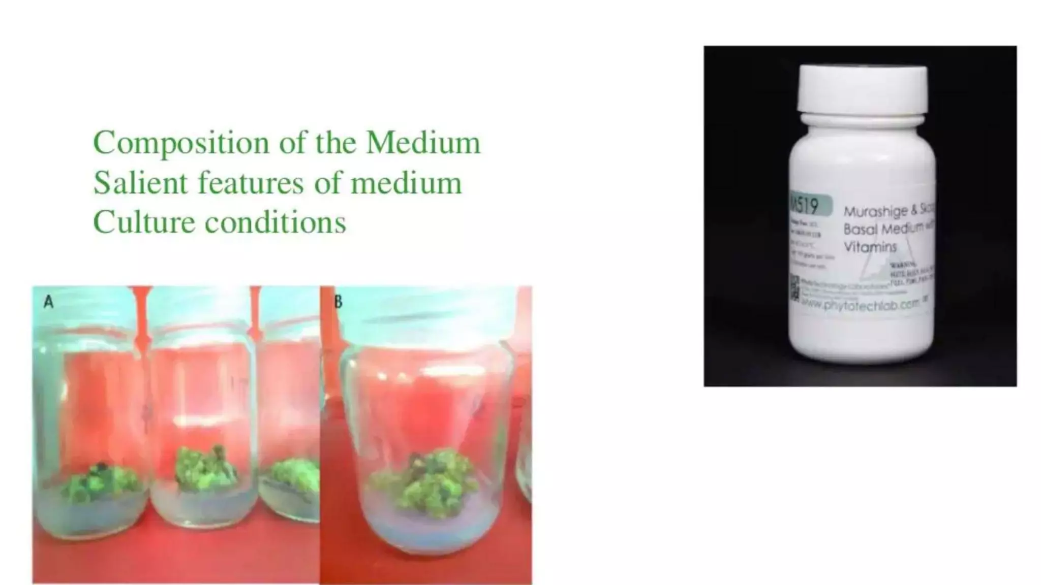 Embryo culture and embryo rescue technique | PPT Embryo culture and embryo rescue technique | PPT