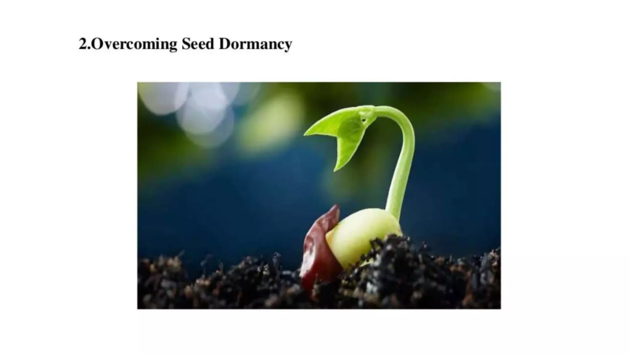 Embryo culture and embryo rescue technique | PPTX