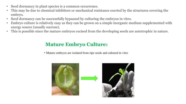 Embryo culture and embryo rescue technique | PPTX