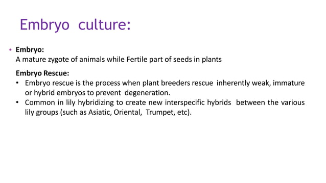 Embryo culture and embryo rescue technique | PPTX