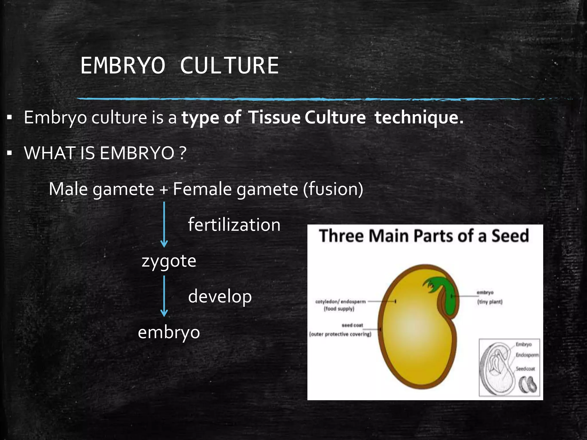 Embryo culture and its application | PPTX