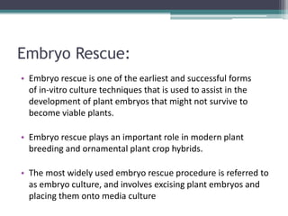 Embryo culture & application; embryo rescue | PPTX