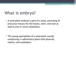 Embryo Definition