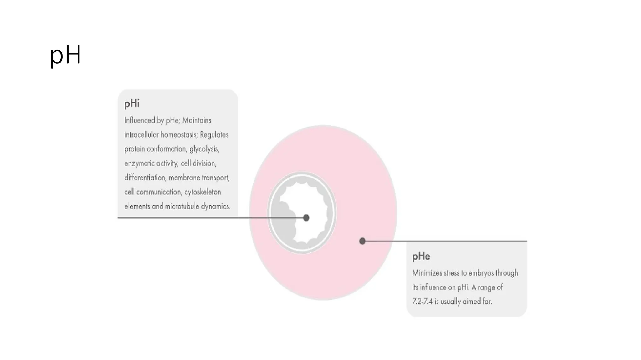 Embryo culture systems in IVF LAB PPT.pptx
