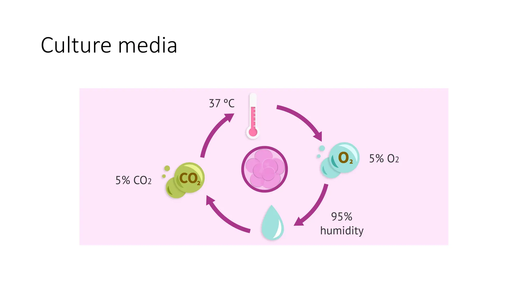 Embryo culture systems in IVF LAB PPT.pptx