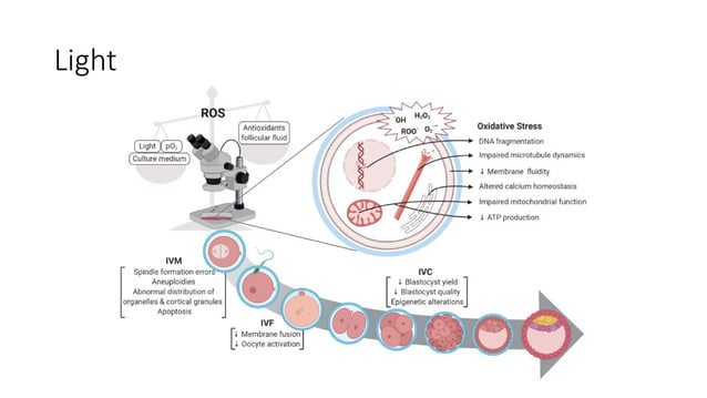 Embryo culture systems in IVF LAB PPT.pptx