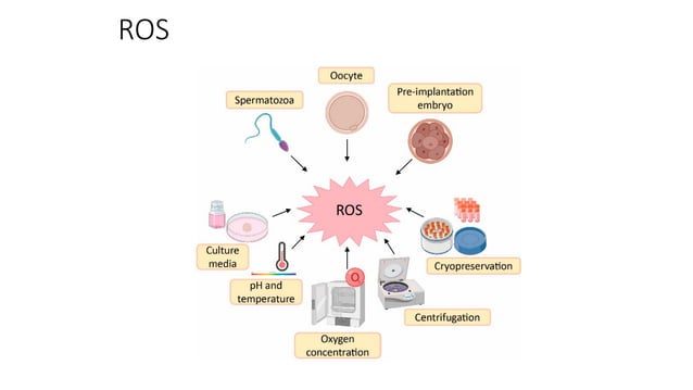 Embryo culture systems in IVF LAB PPT.pptx