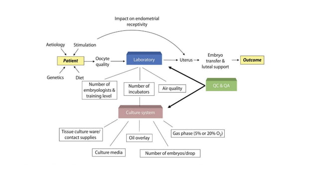 Embryo culture systems in IVF LAB PPT.pptx