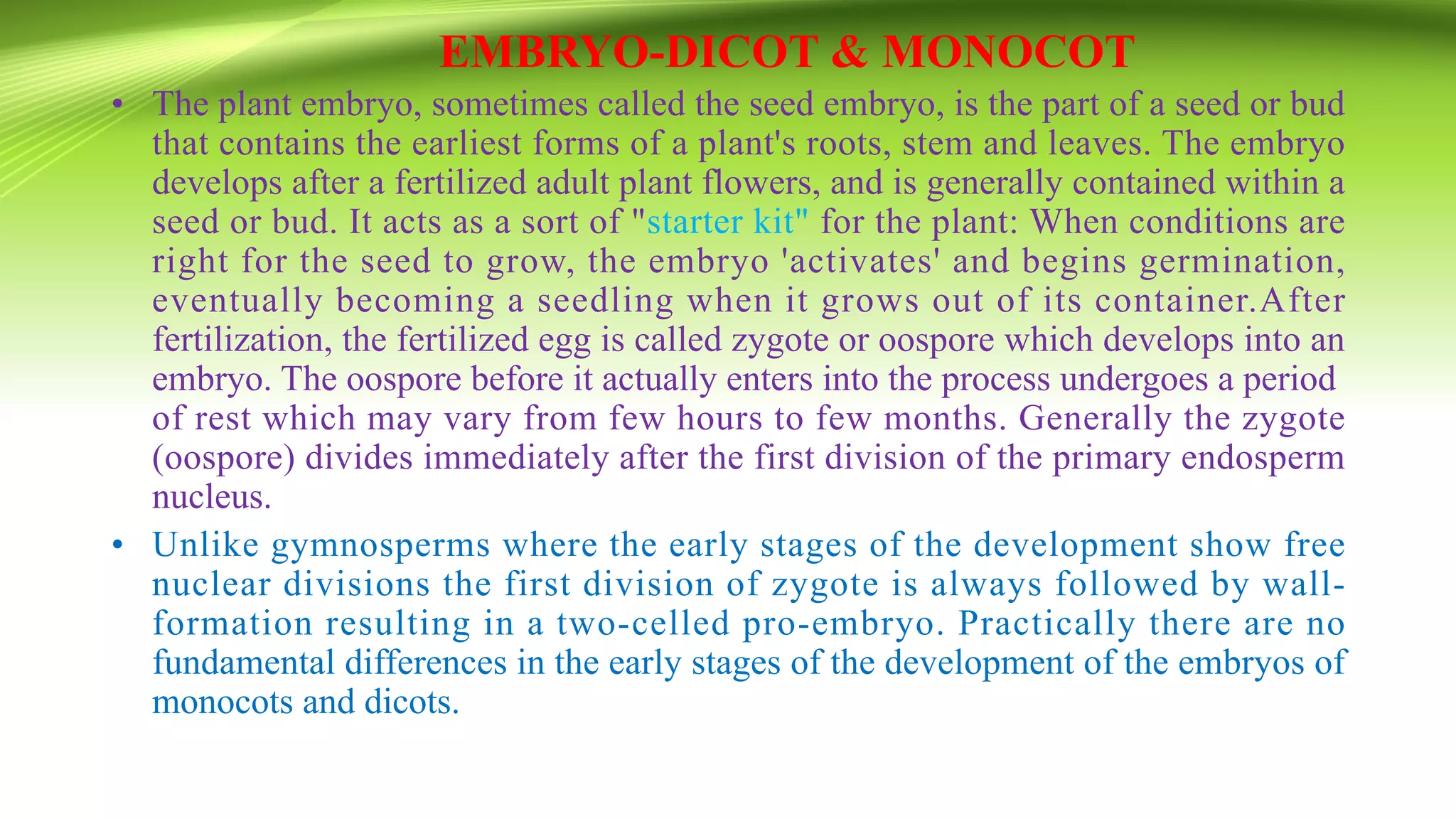 Embryo development | PDF