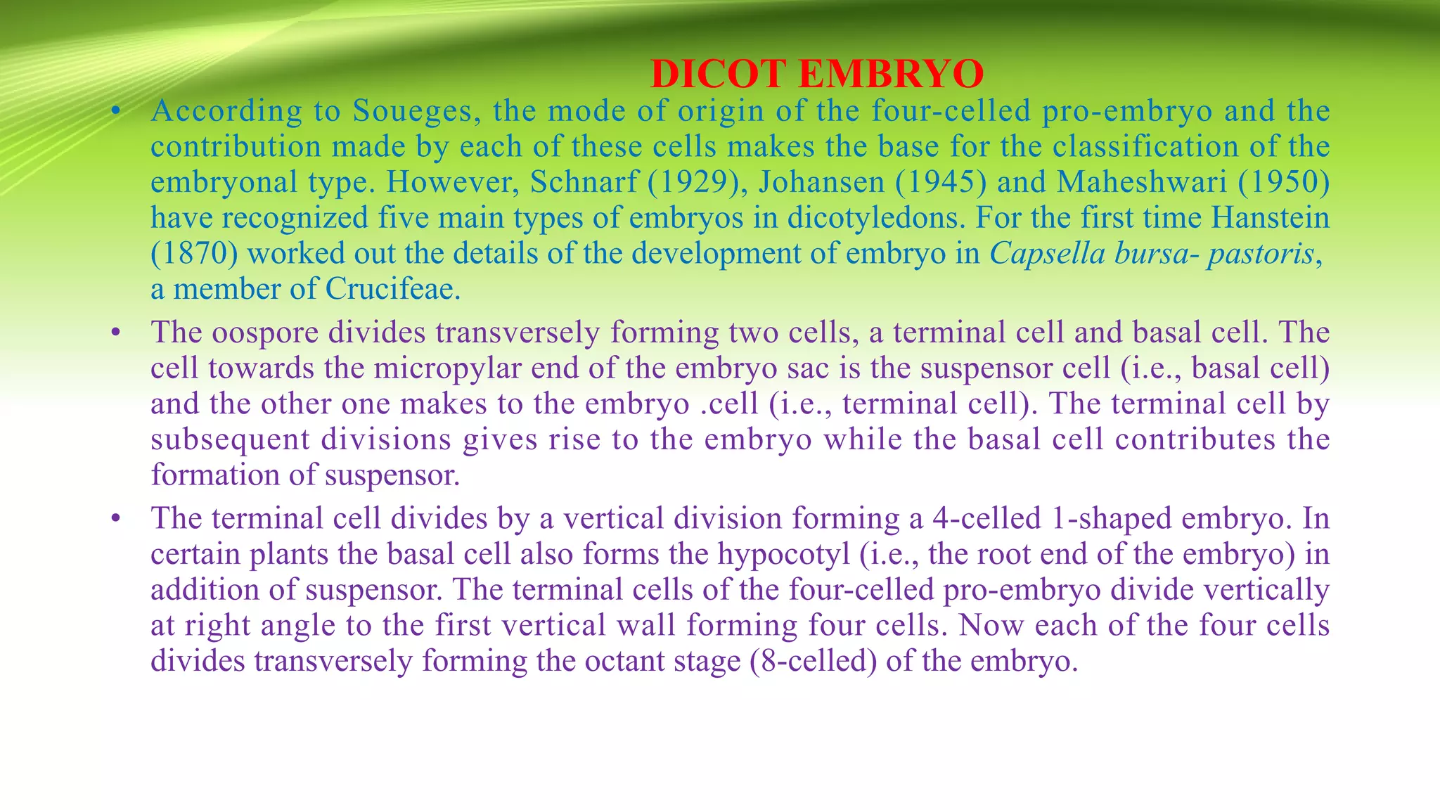 Embryo development | PDF