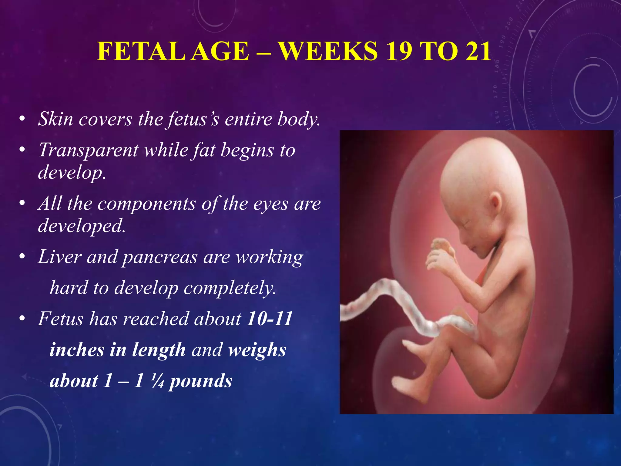Fetal/Embryonic development in 3 trimester | PPTX