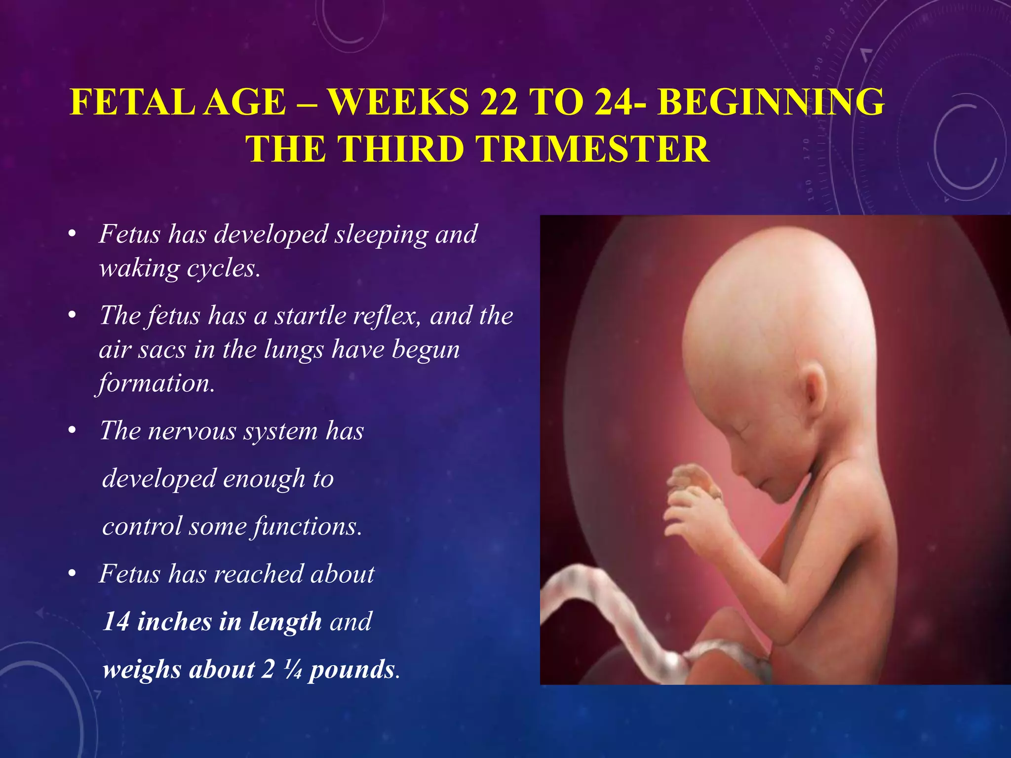 Fetal/Embryonic development in 3 trimester | PPTX