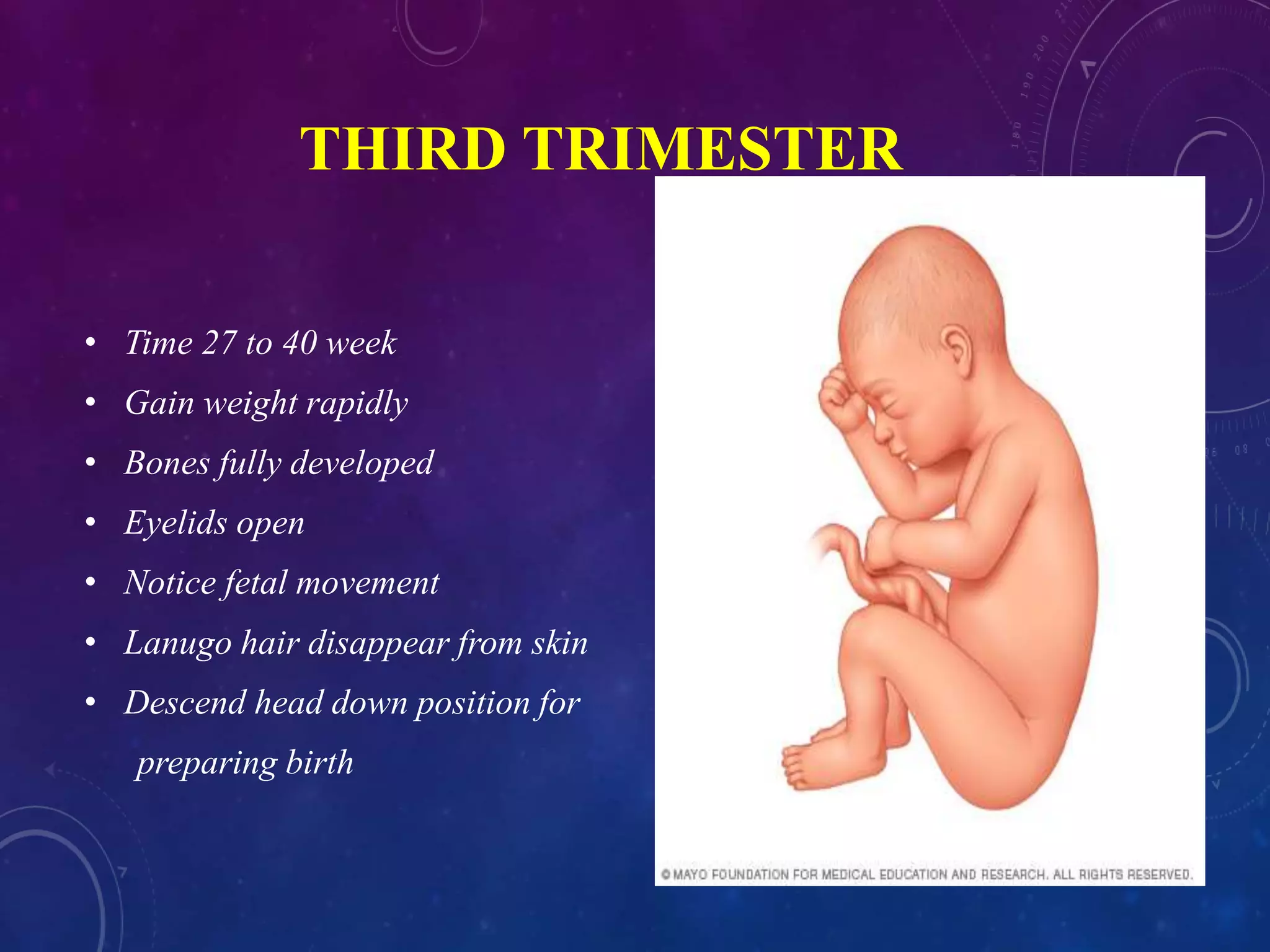 Fetal/Embryonic development in 3 trimester | PPTX