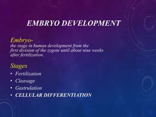 Fetal/Embryonic development in 3 trimester | PPTX