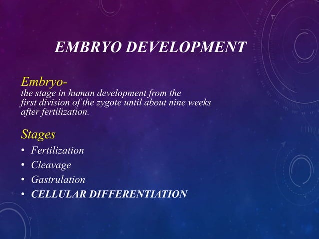 Fetal/Embryonic development in 3 trimester | PPTX | Pregnancy ...