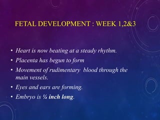 Fetal/Embryonic development in 3 trimester | PPTX