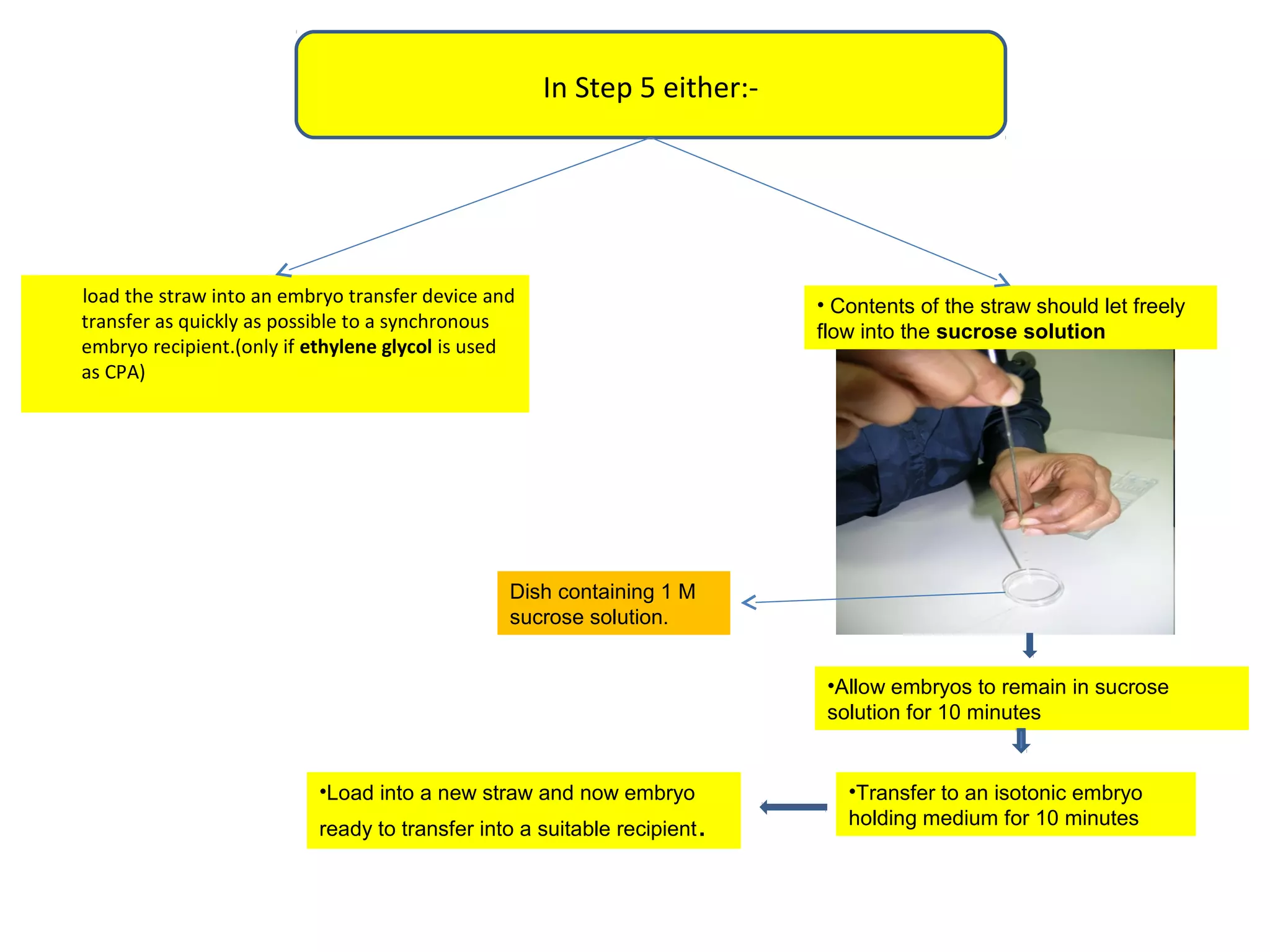 Embryo freezing | PPT