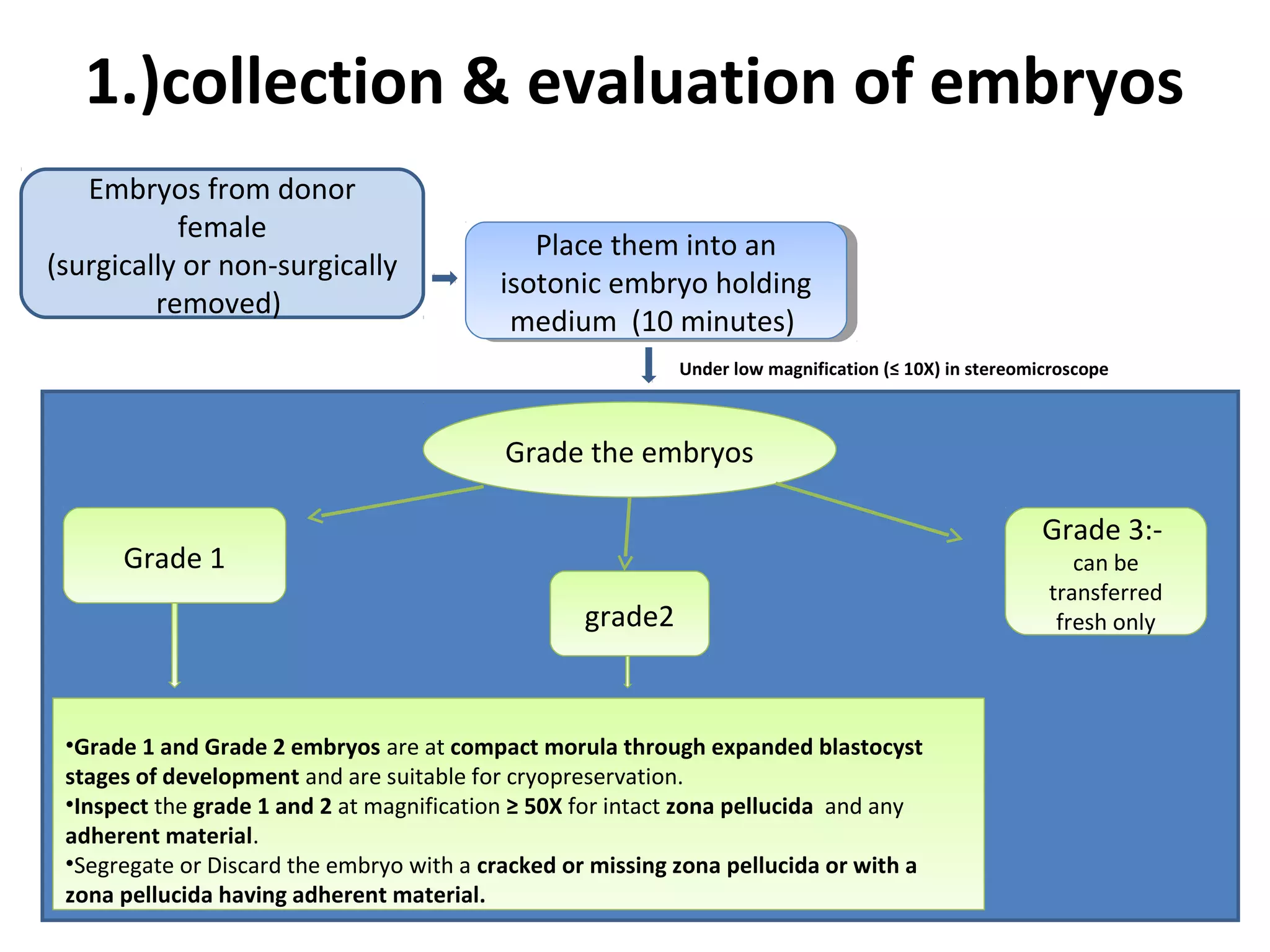 Embryo freezing | PPT