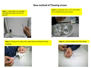 Embryo freezing | PPT