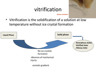 Embryo freezing | PPT