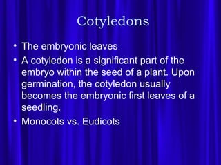 Embryogenesis | PPT
