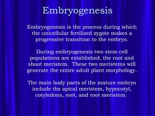 Embryogenesis | PPT