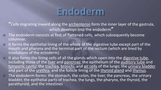 Embryogenesis | PPTX
