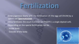 Embryogenesis | PPTX