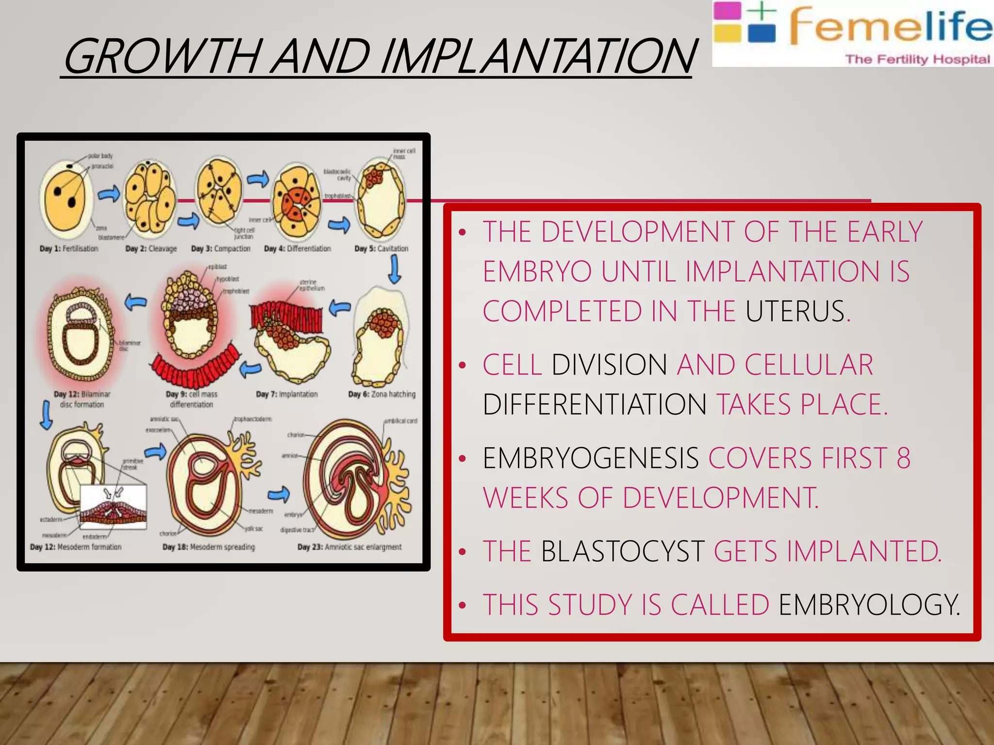 Embryogenesis | PPTX