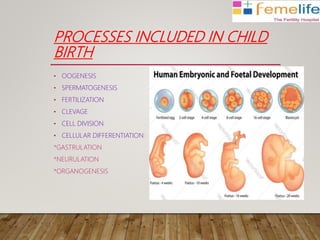 Embryogenesis | PPT