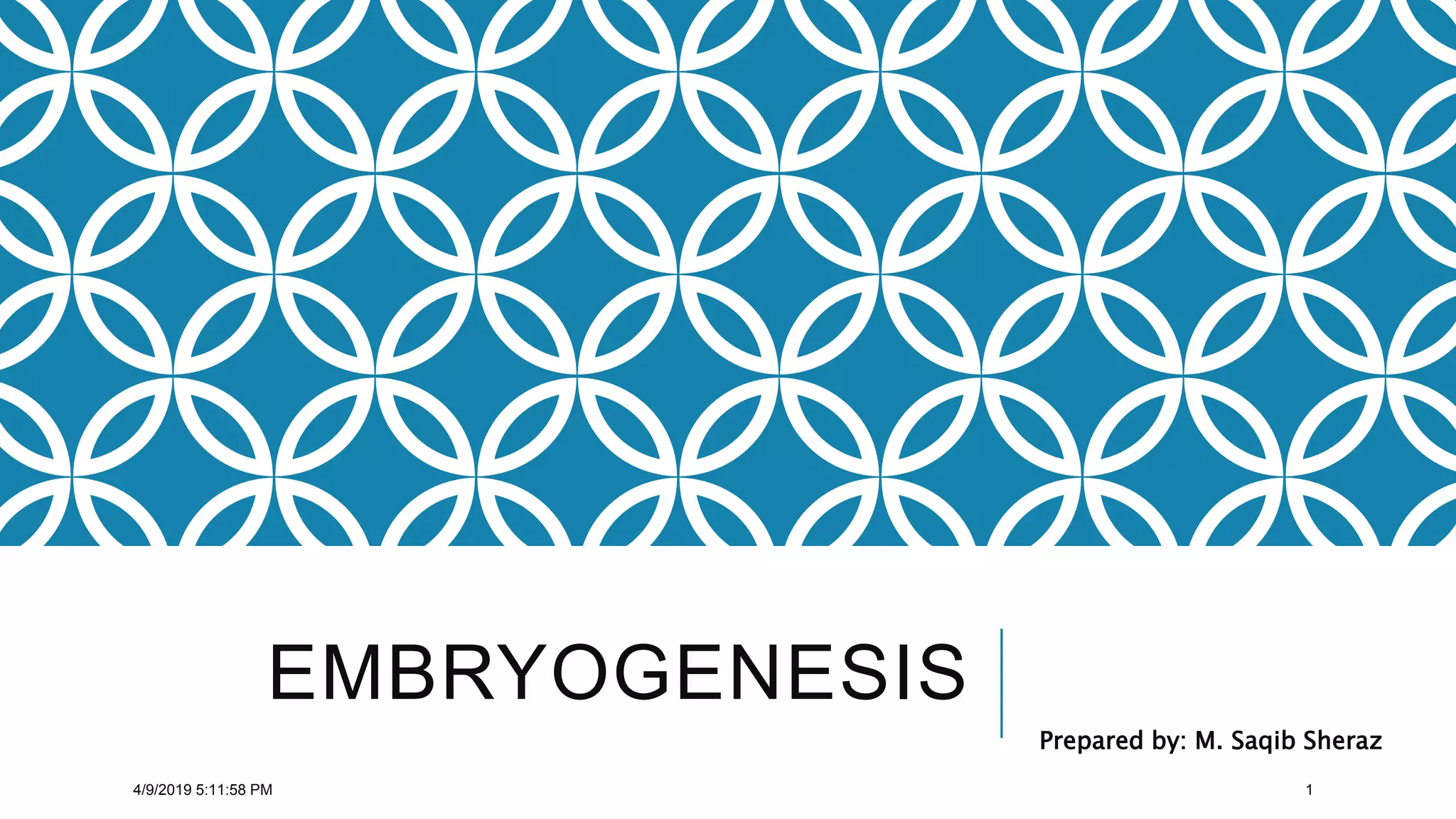 Embryogenesis | PPTX