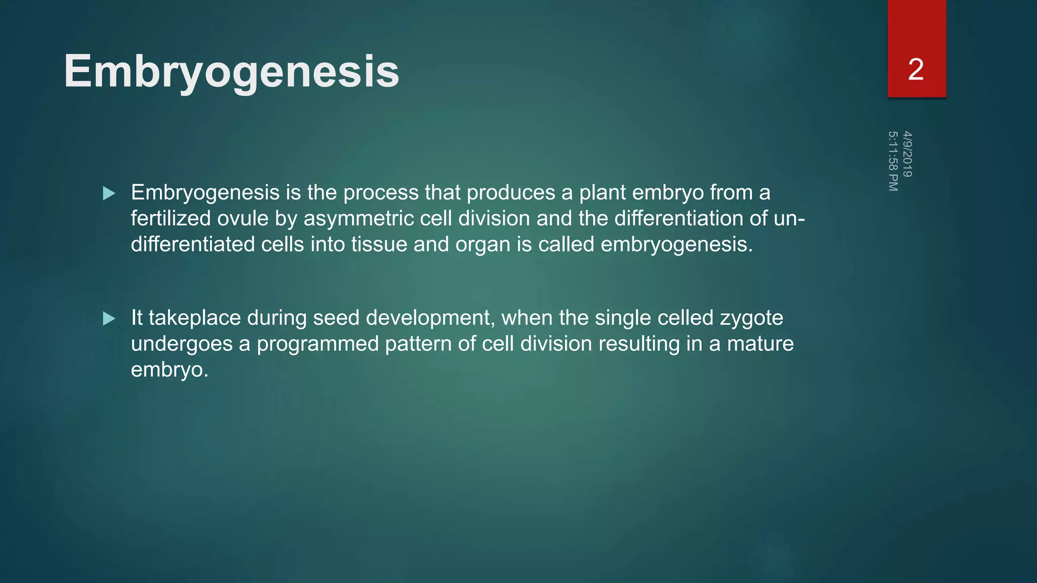 Embryogenesis | PPTX