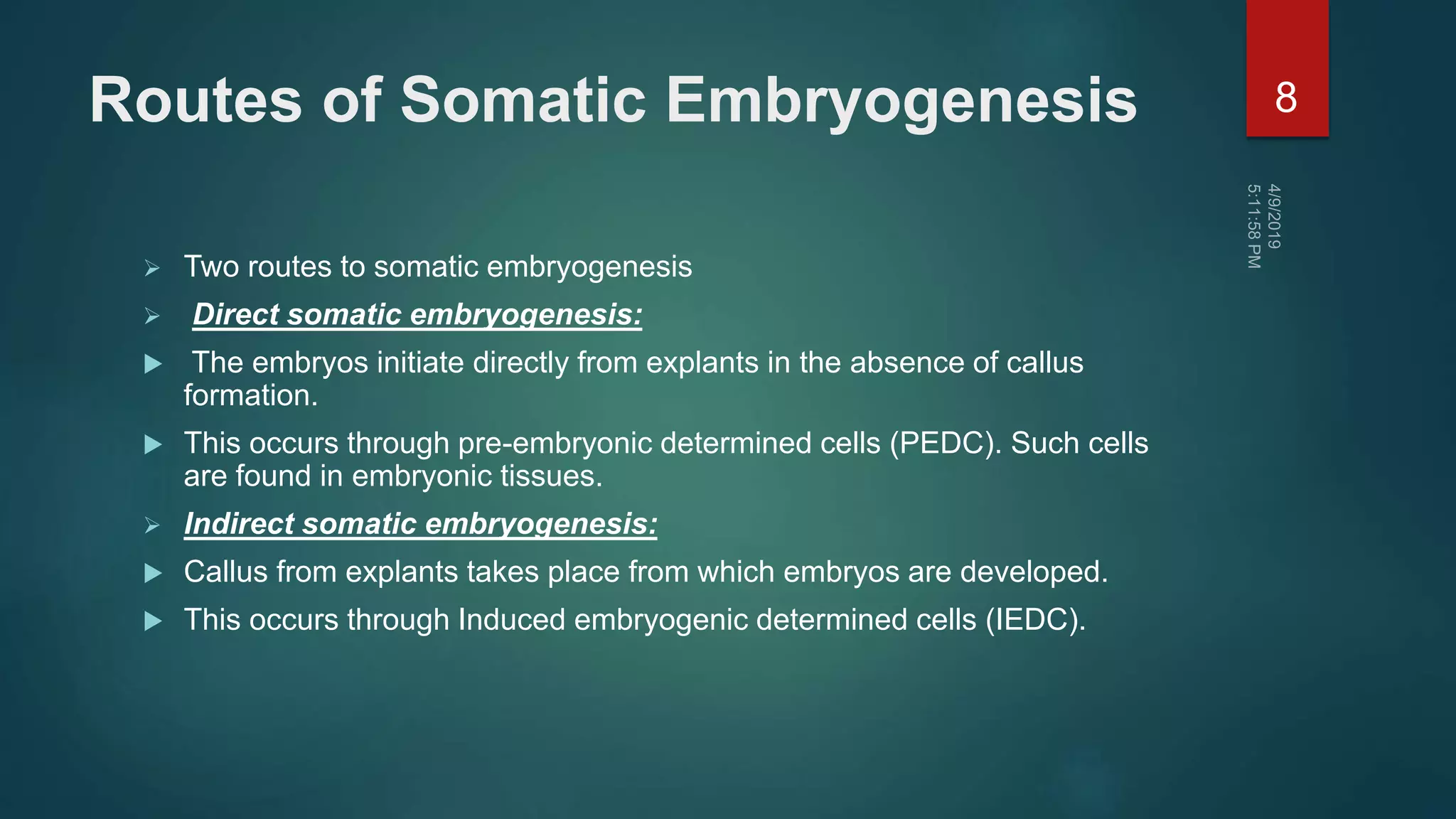 Embryogenesis | PPTX