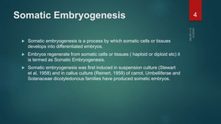 Embryogenesis | PPTX