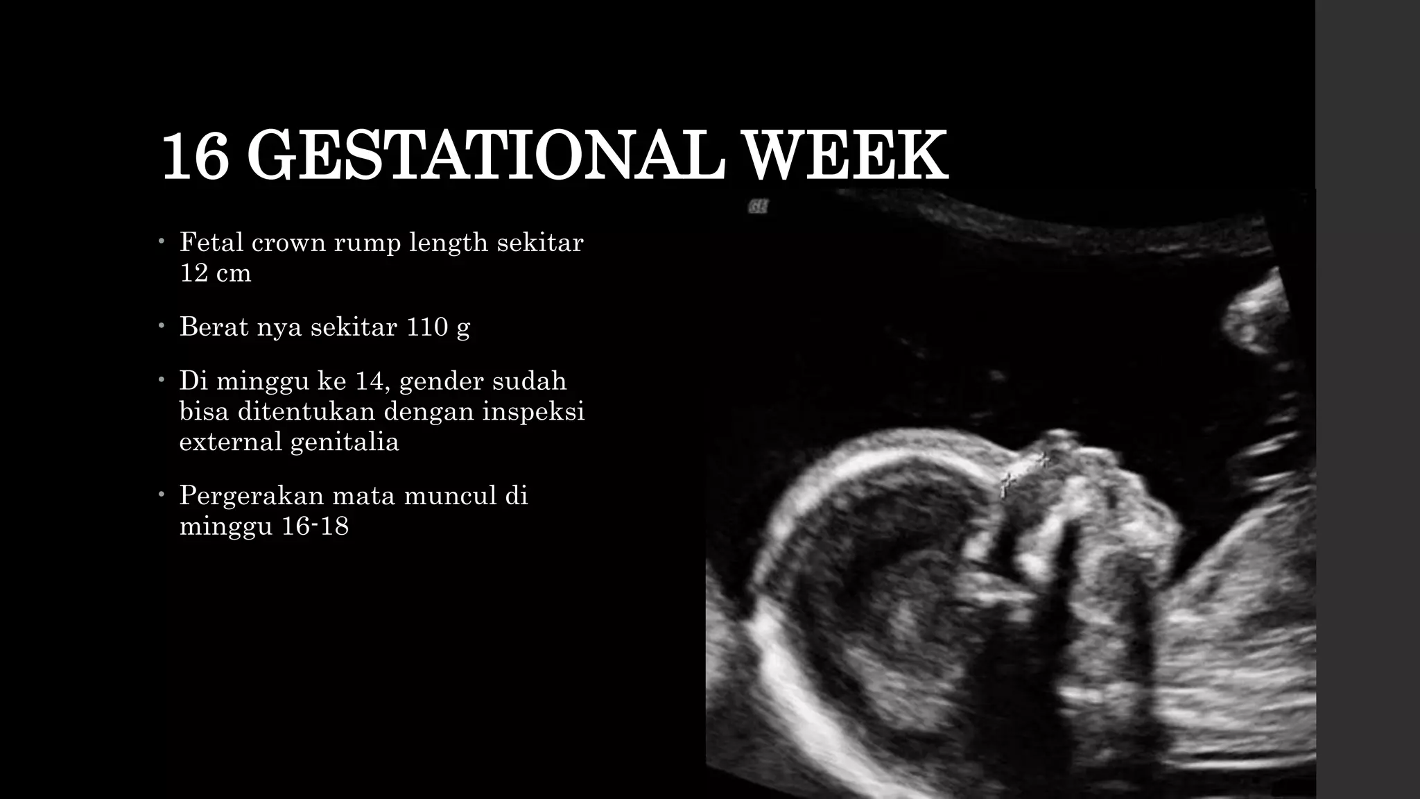 Embryogenesis | PPTX