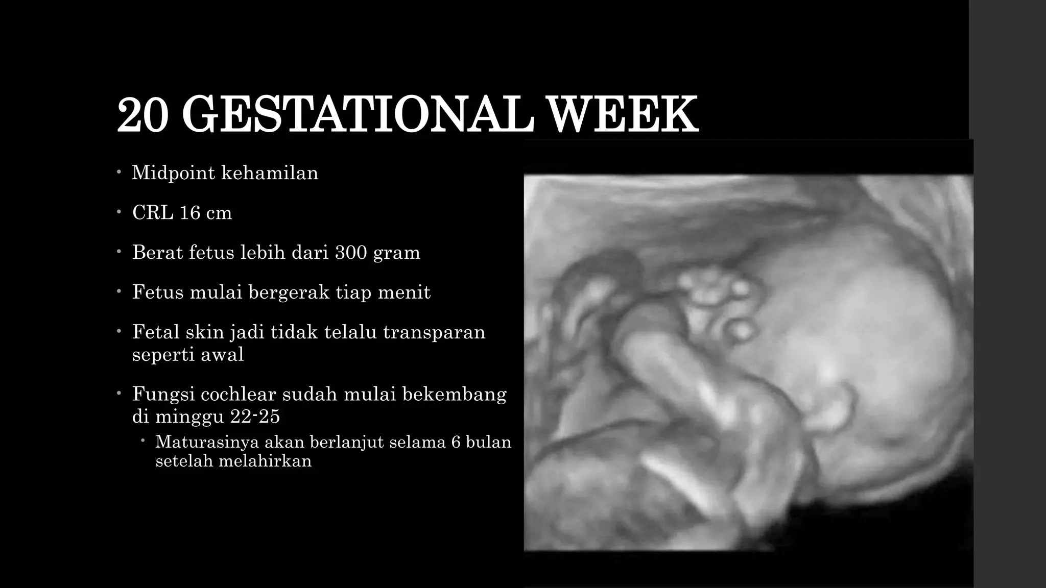 Embryogenesis | PPTX