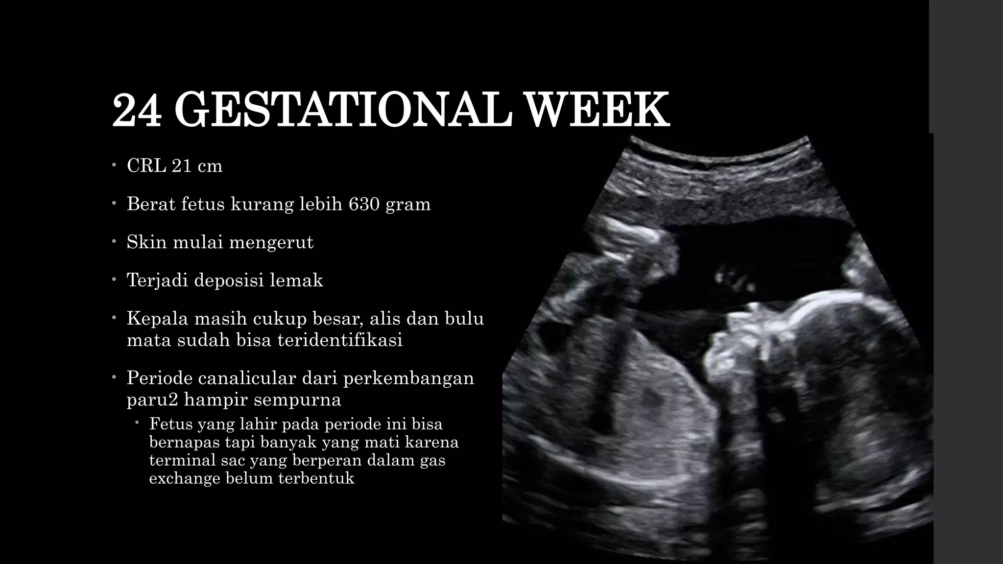 Embryogenesis | PPTX