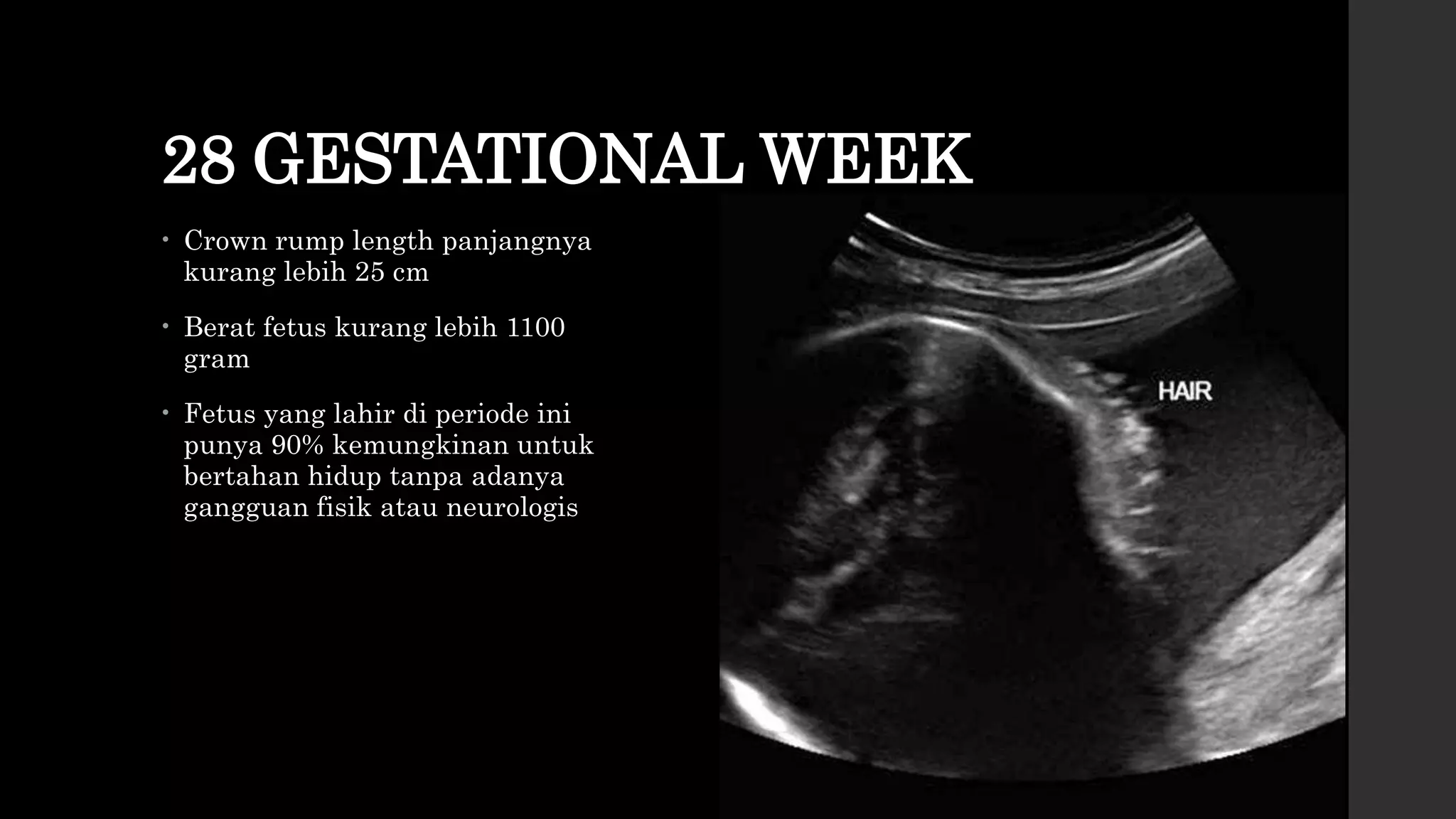 Embryogenesis | PPTX