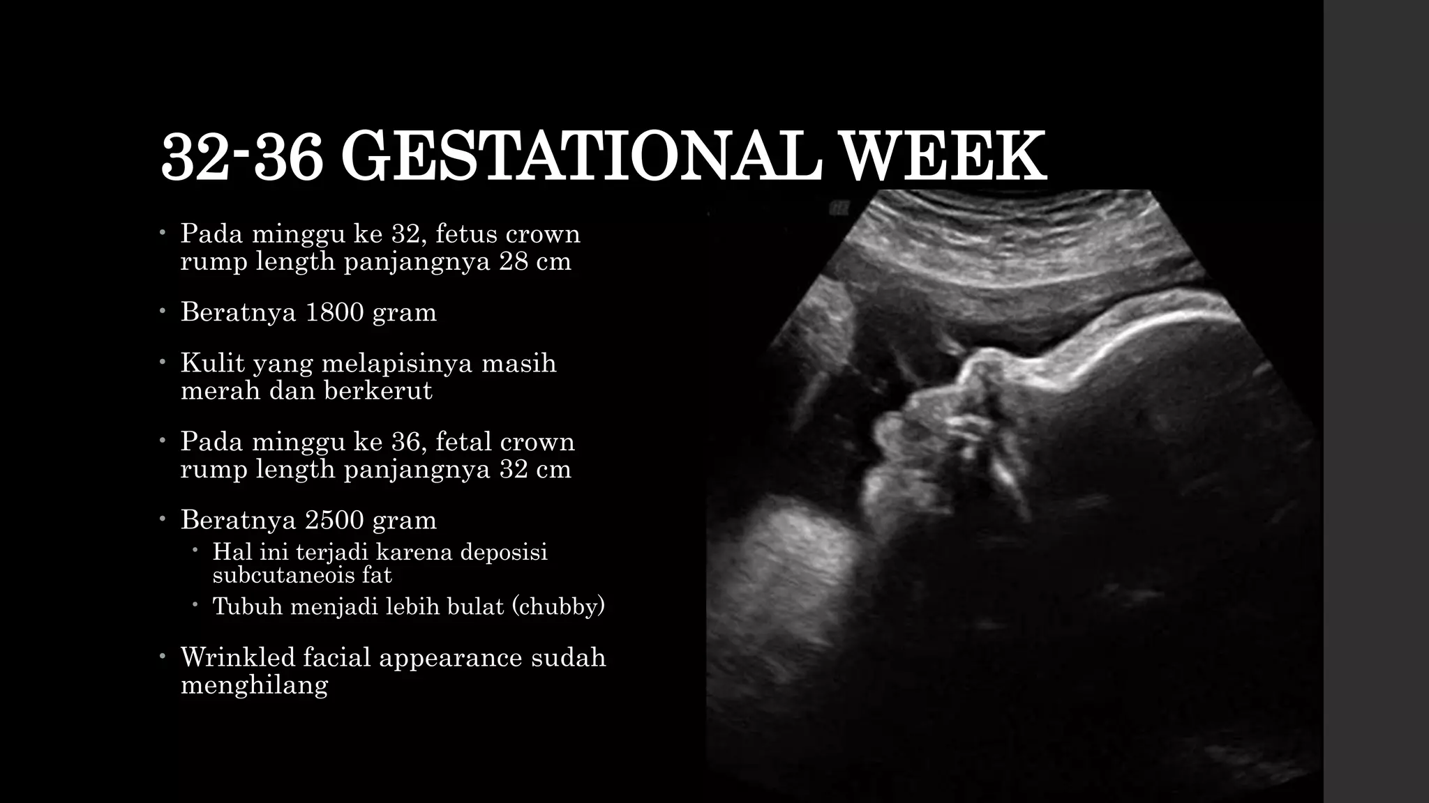 Embryogenesis | PPTX
