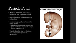Embryogenesis | PPTX