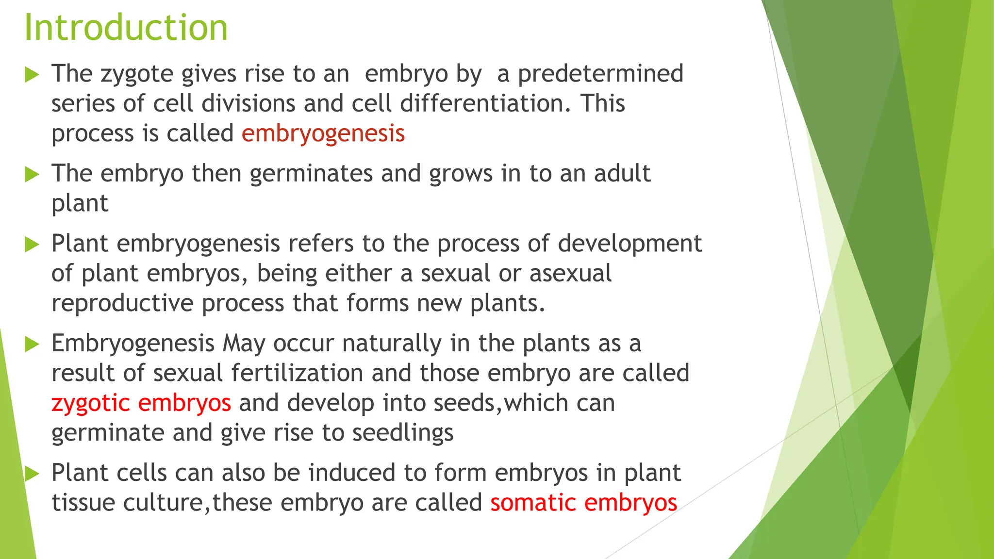 Embryogenesis | PPTX